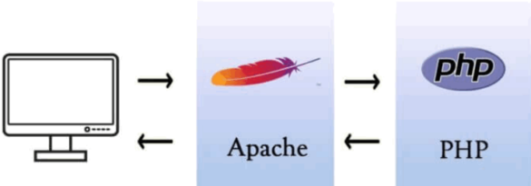 Vai trò Apache và PHP Hoạt Động Cùng Nhau Như Thế Nào - TanHongIT